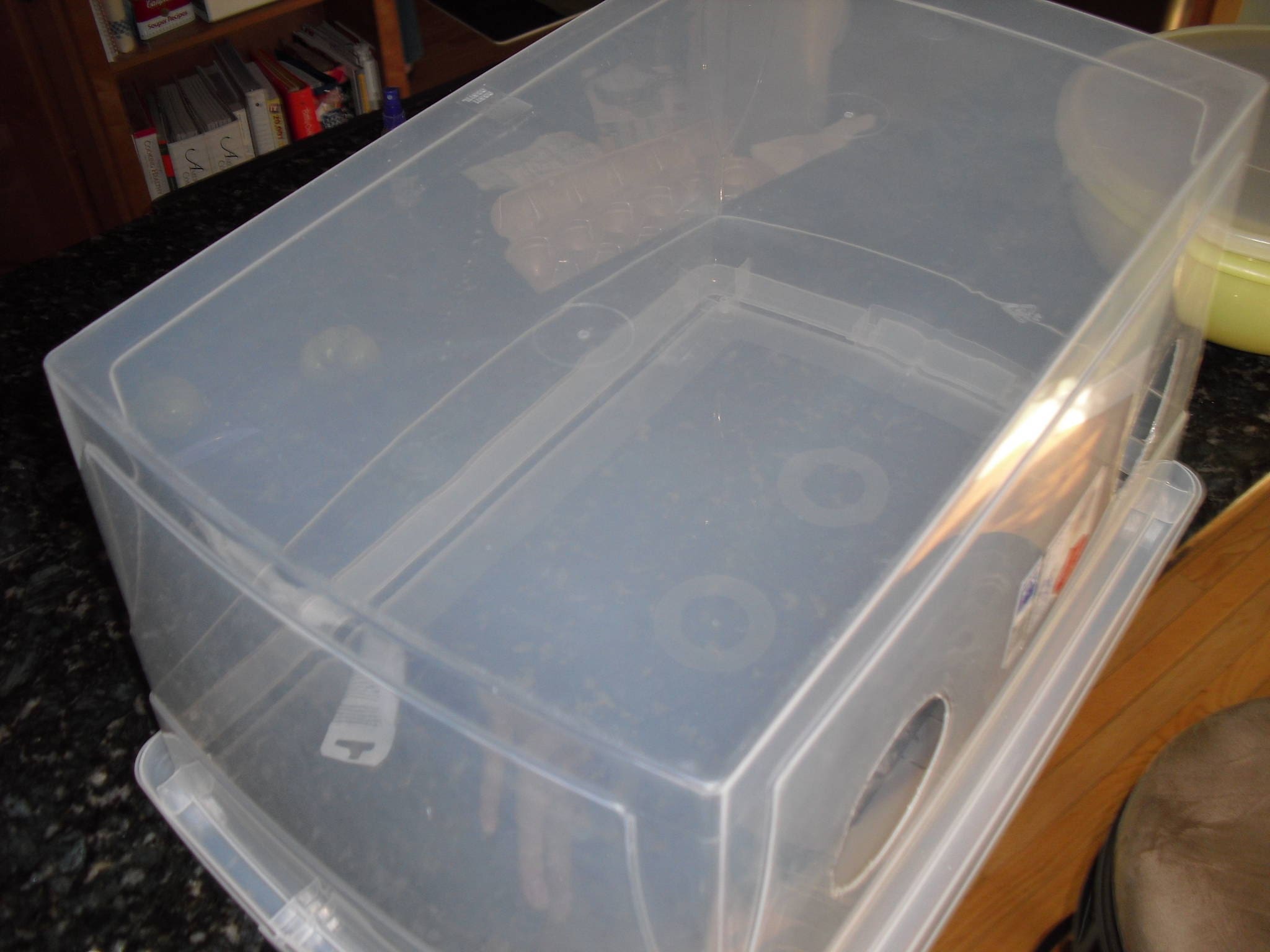 How to make a still air box - Orangutan Trading Co